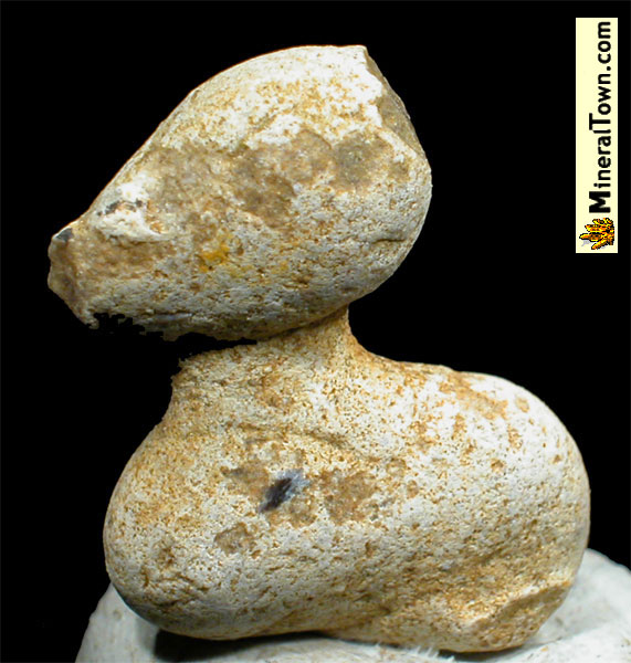 Opal variety Menilite. Opals Photo Gallery at MineralTown.com
