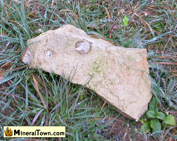 Opal menilite, photos of opal, MineralTown.com