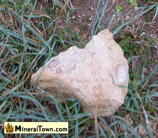 Opal menilite, photos of opal, MineralTown.com